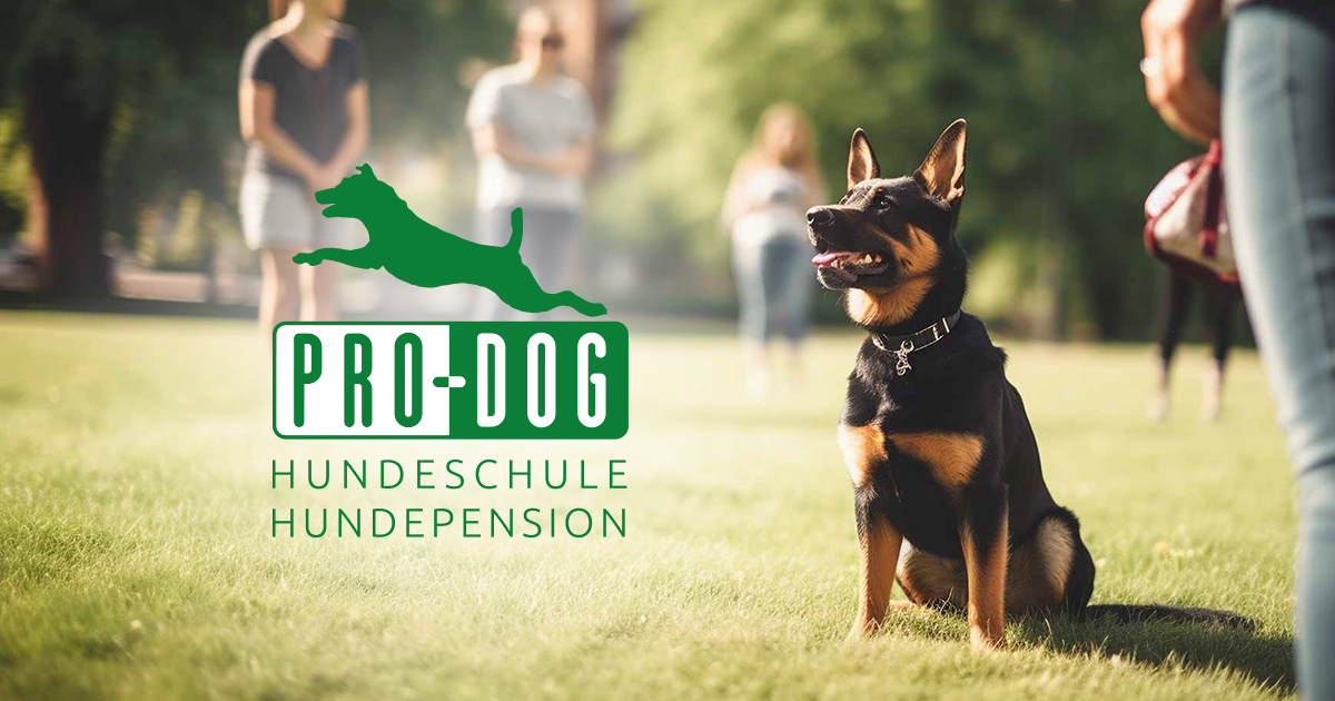 PRO-DOG ‹ Hundeschule und Hundepension bei Berlin